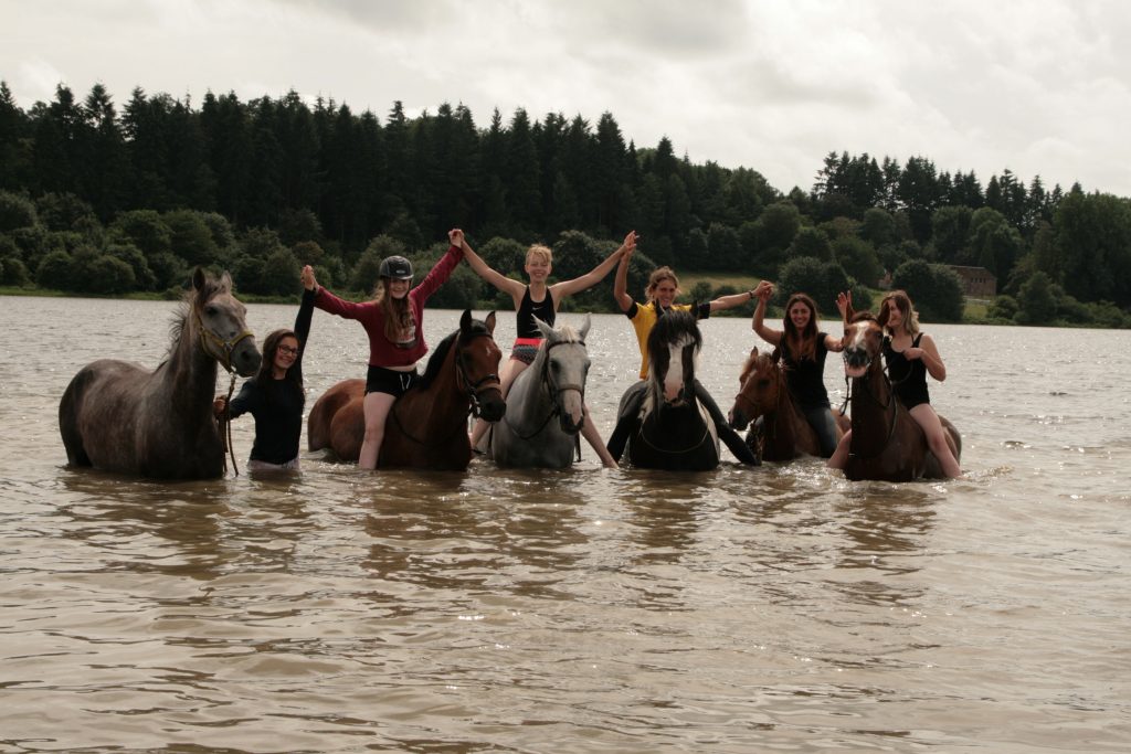 Stage "étho-rando au Val Joly" adultes - Equitation comportementale