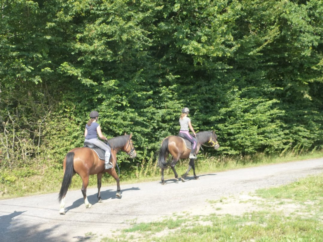 Balade - Equitation comportementale