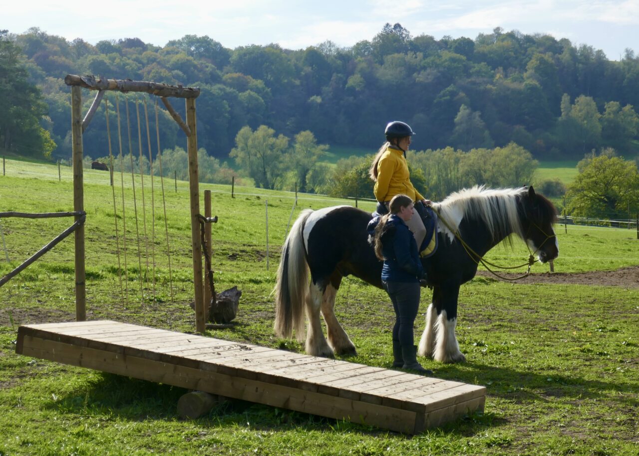 Stage Mountain Trail - Equitation comportementale