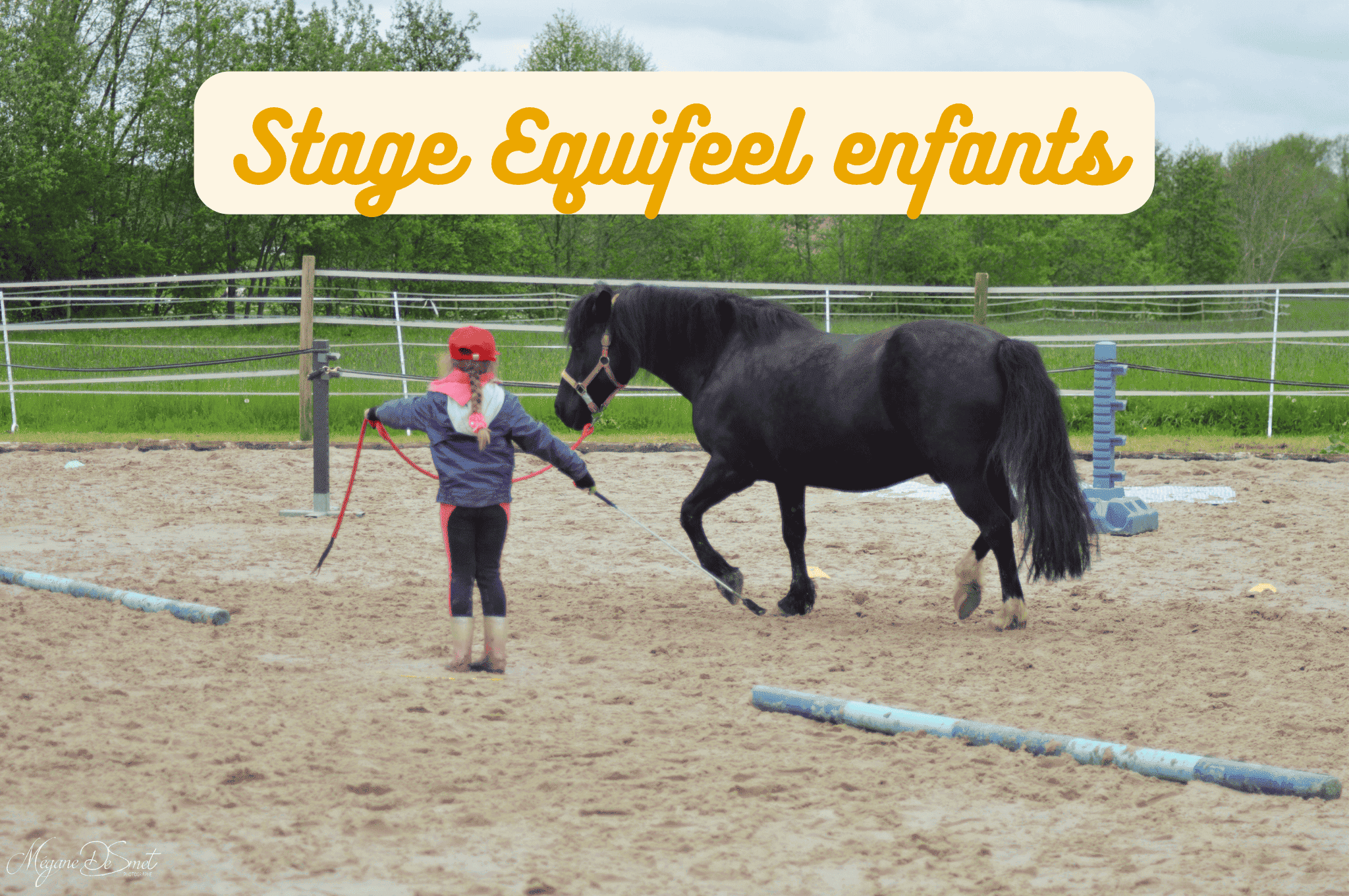 Stage Equifeel enfants - Equitation comportementale